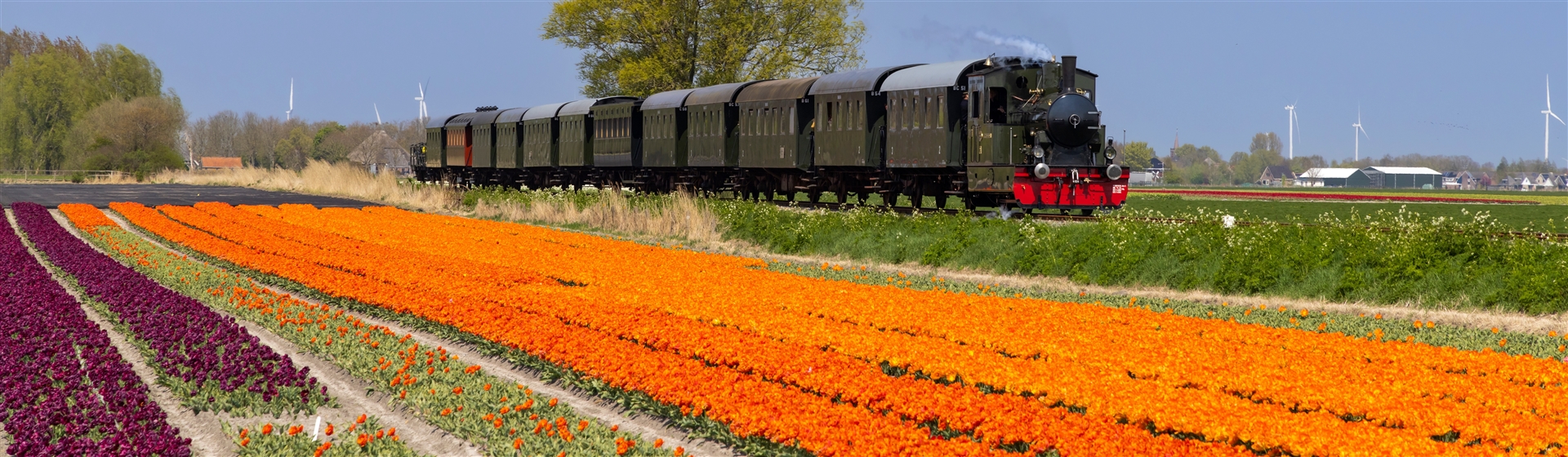 Dutch Maximum Steam Weekend 2026 Rail Tour