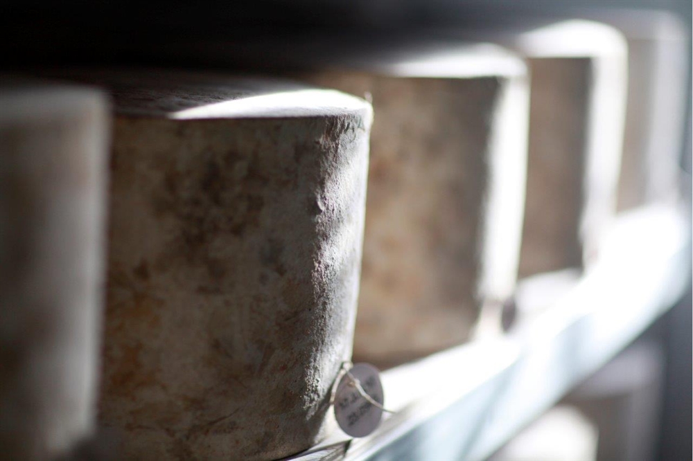 Bristol, Cider & Gorge-ous Cheddar 2026 Rail Tour