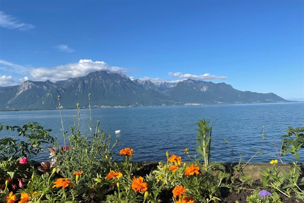 Swiss Glacier Express & The Bernina 2026 Rail Tour