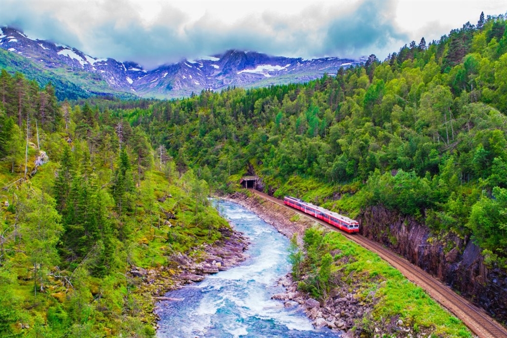 Railtrail Tours - escorted train holidays. Rail holidays to Germany ...