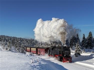Festive & Winter Tours - Europe